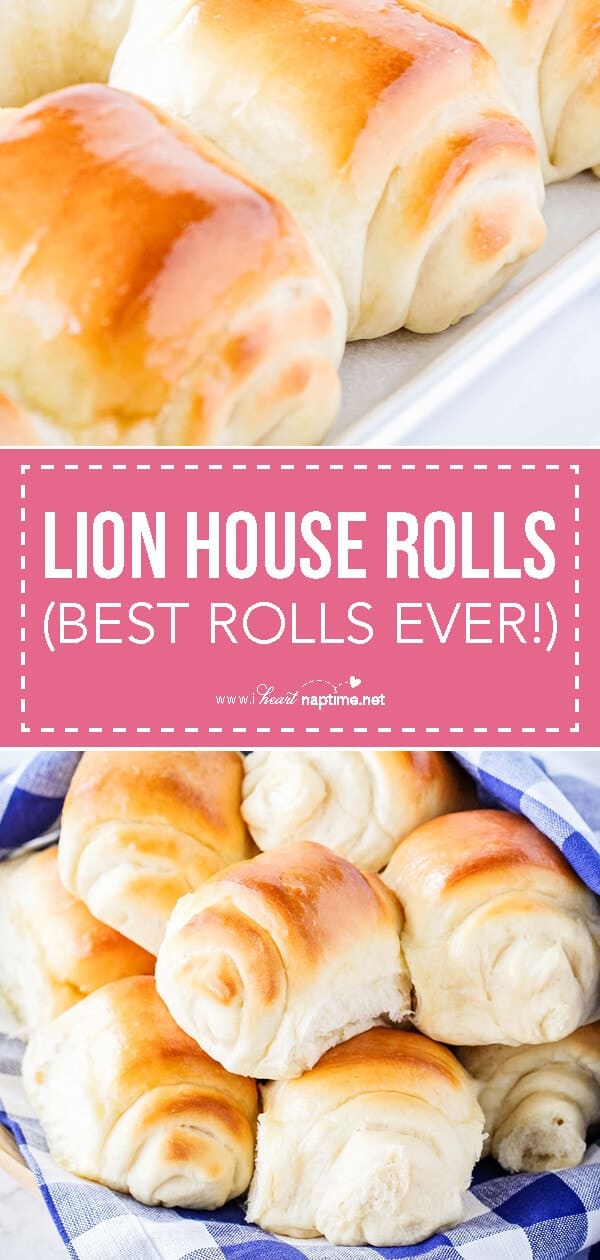 Super Soft and Fluffy Lion House Rolls - I Heart Naptime