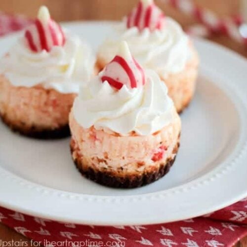 Mini Cheesecakes with Graham Cracker Crust - I Heart Naptime