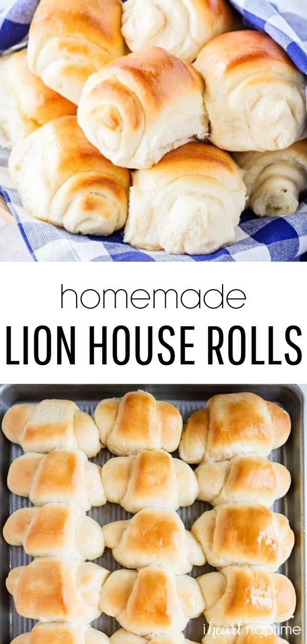 Perfect Lion House Rolls - I Heart Naptime