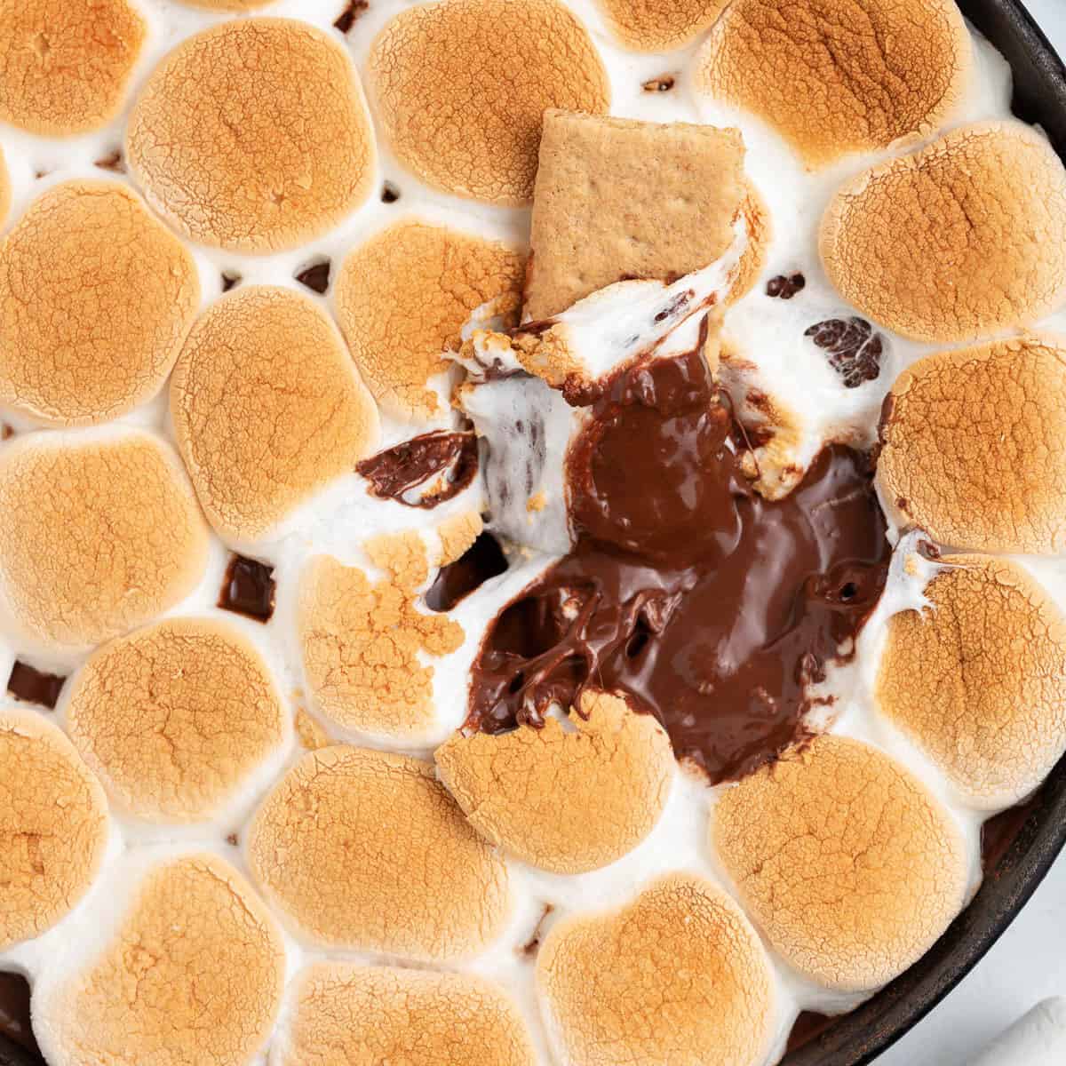 Frozen S'mores - I Heart Naptime